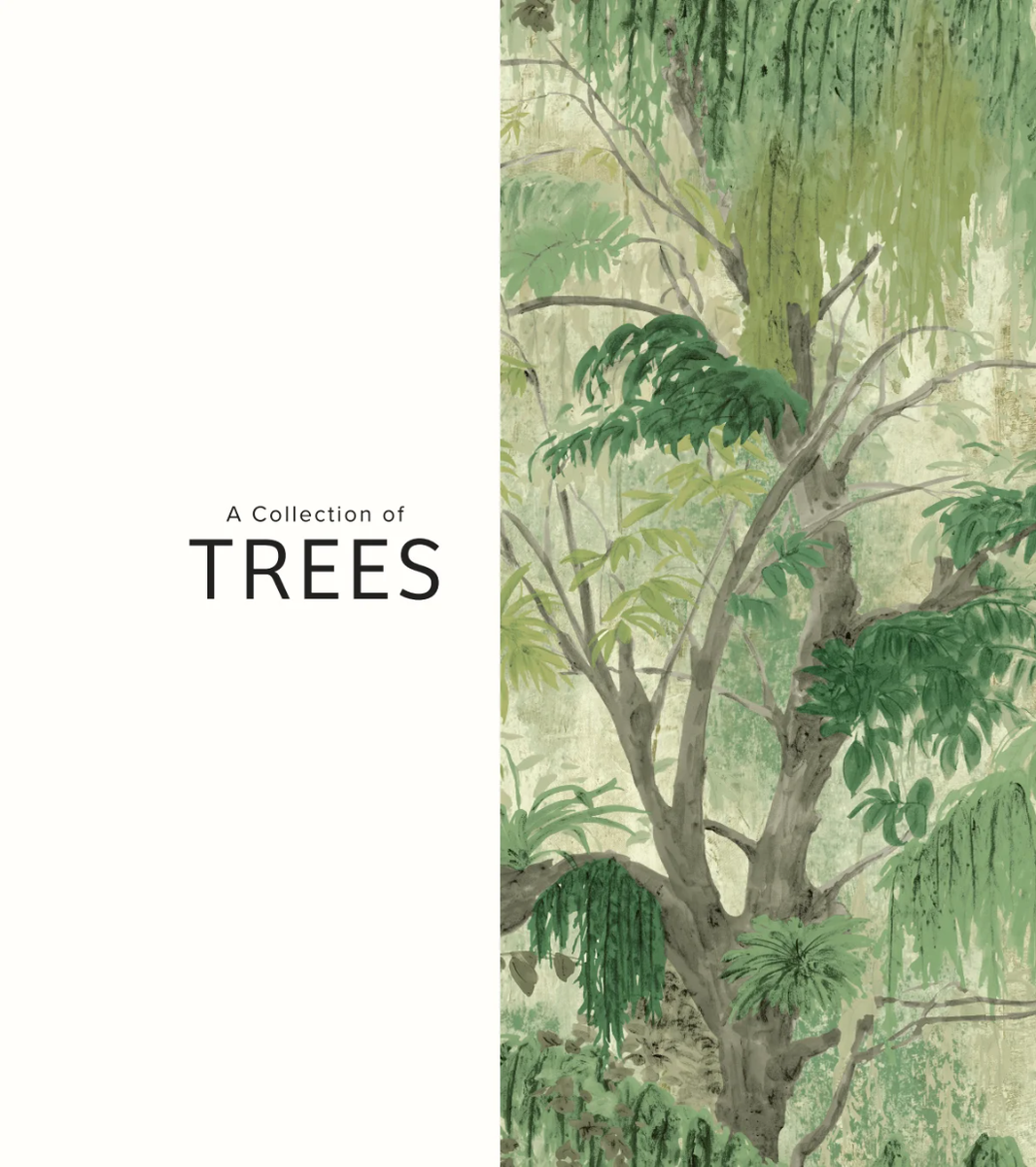 A Collection of Trees Wallpaper – Wallcrown Design Center Inc.