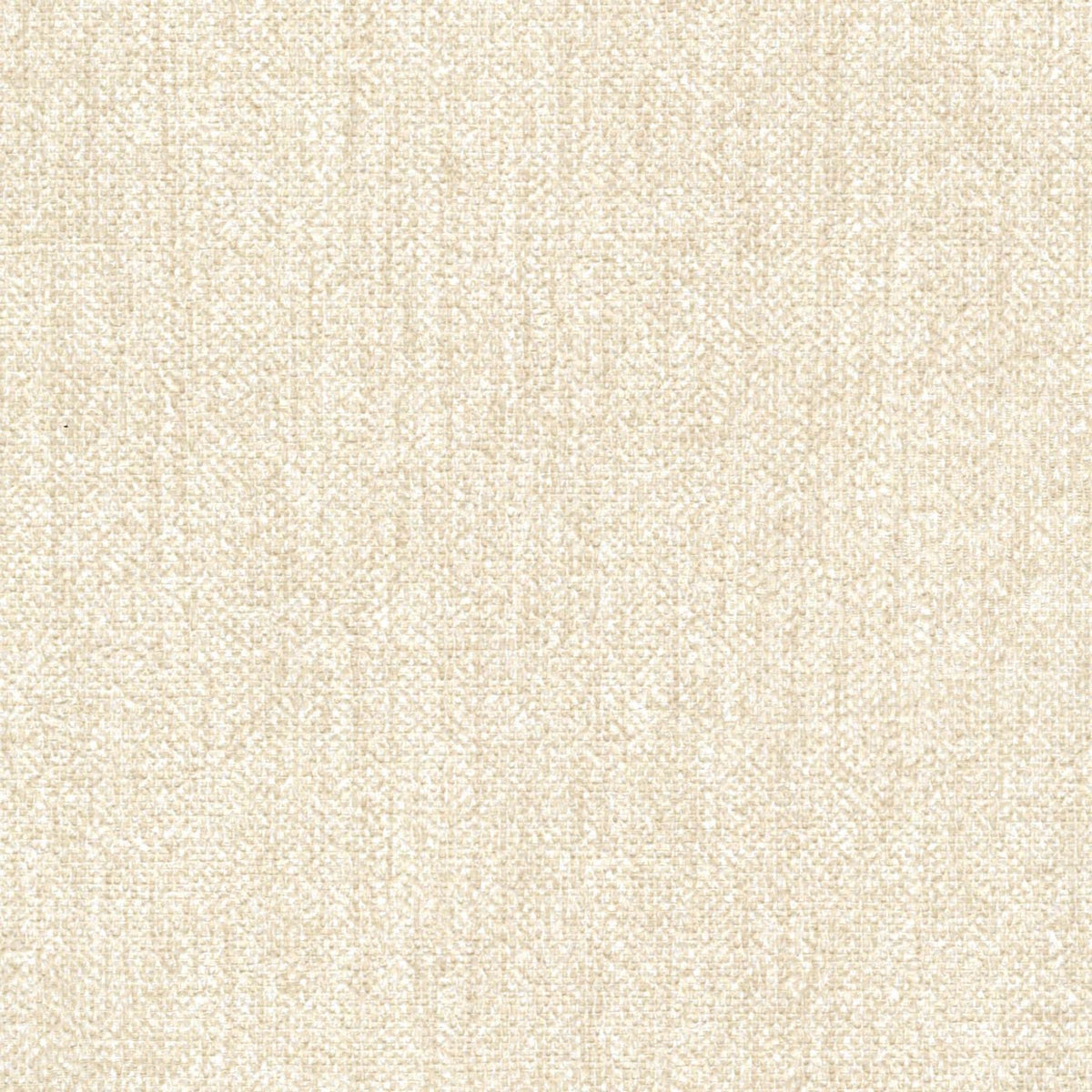 Premierwall Explore Wallpaper – Wallcrown Design Center Inc.
