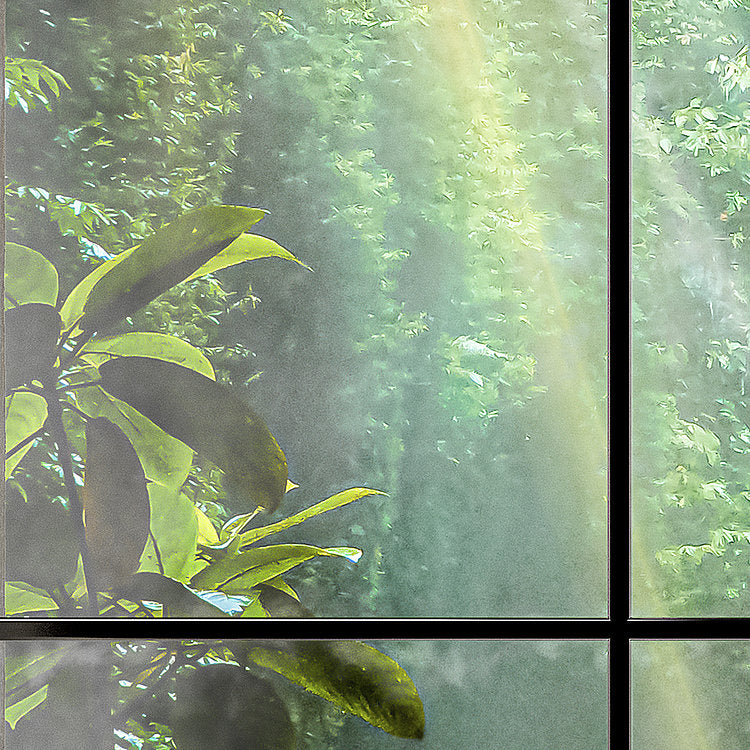 Rainforest Wall Mural – Wallcrown Design Center Inc.