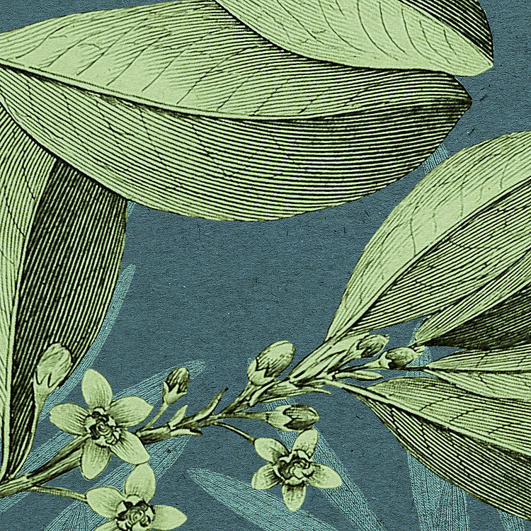 Jacinta Wall Mural – Wallcrown Design Center Inc.